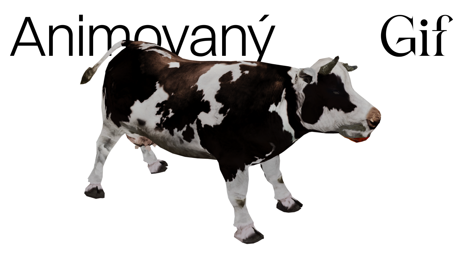 GIF - Levitating cow - Showcase FMK UTB : Showcase FMK UTB