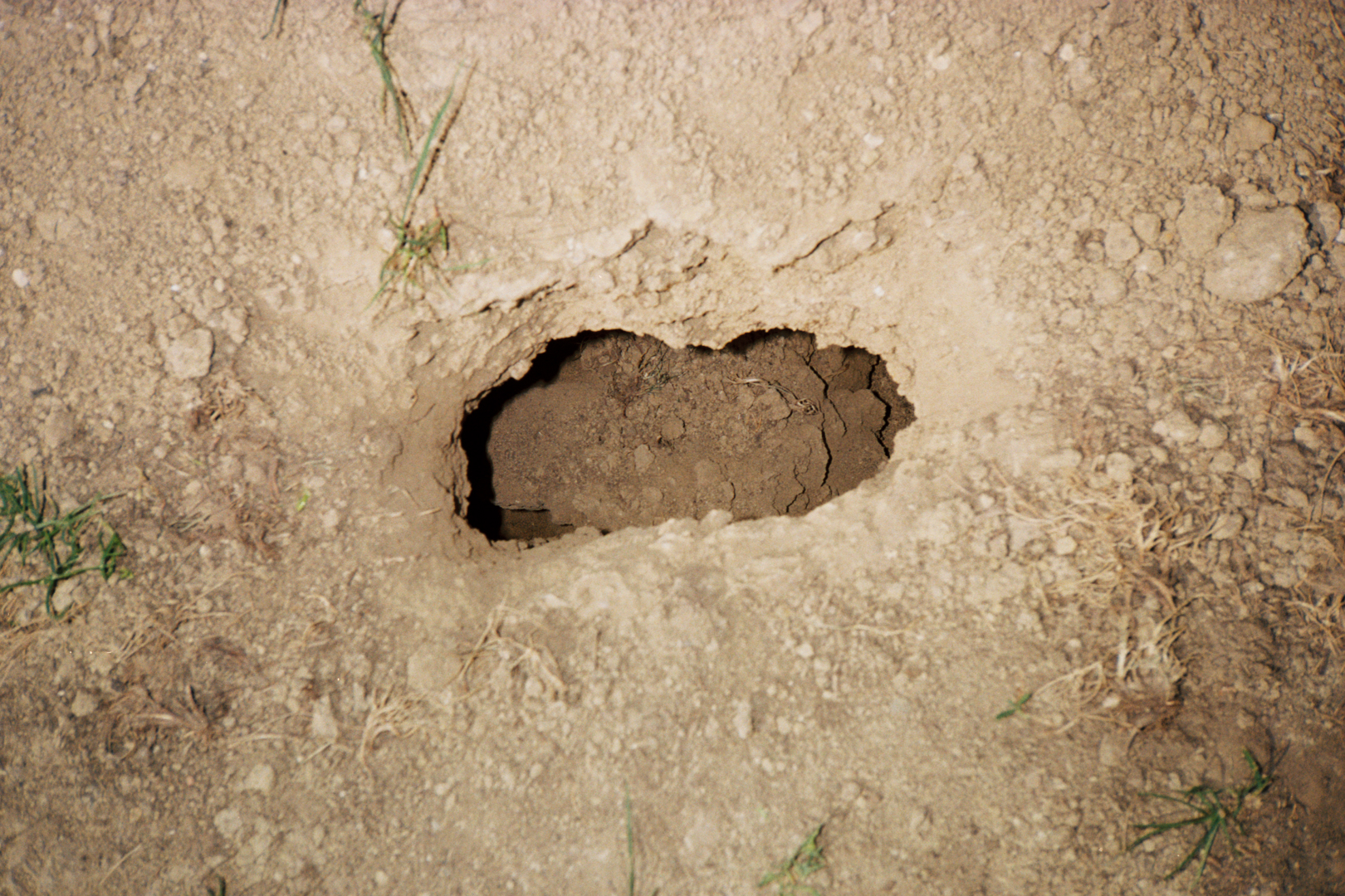 kniha mezer - Showcase FMK UTB : Showcase FMK UTB