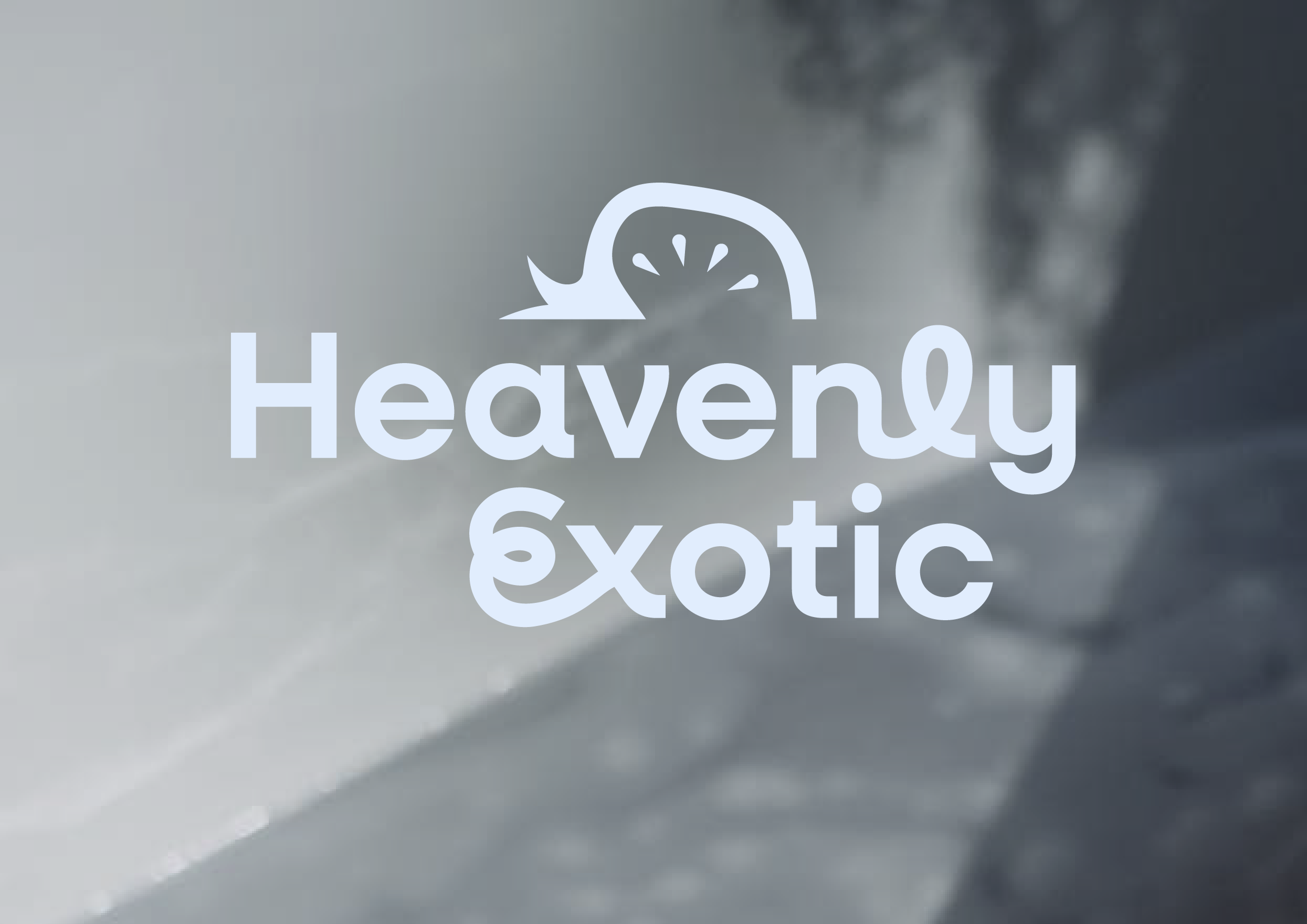 Heavenly Exotic - Showcase FMK UTB : Showcase FMK UTB