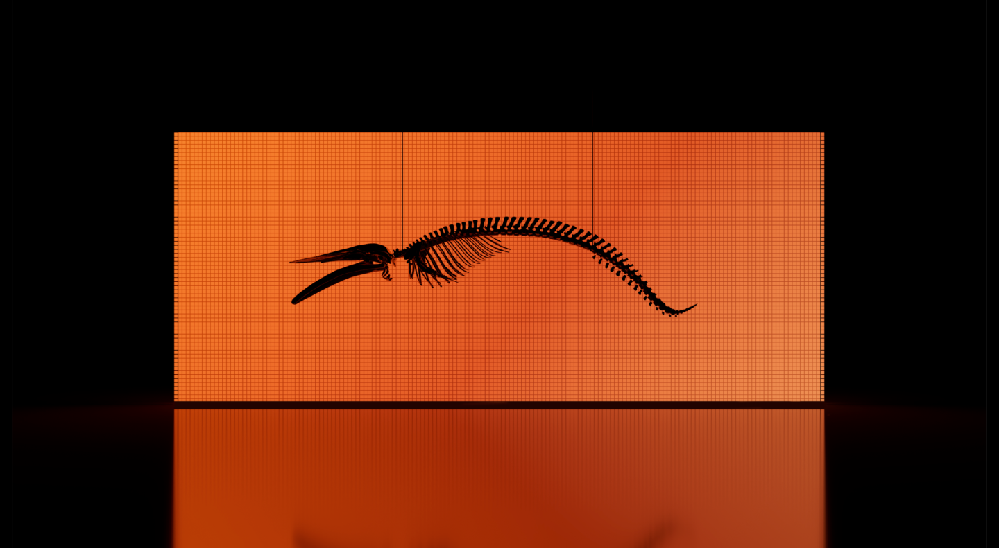 Cinema 4D sprint - Showcase FMK UTB : Showcase FMK UTB