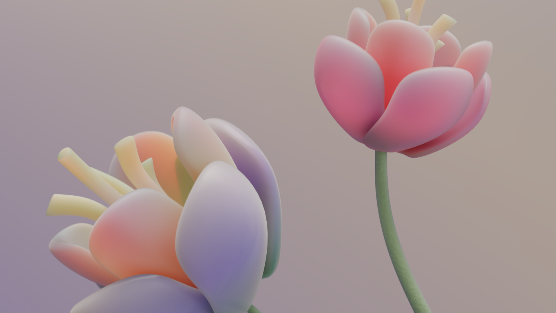 Digitální Portfolio - Showcase FMK UTB : Showcase FMK UTB