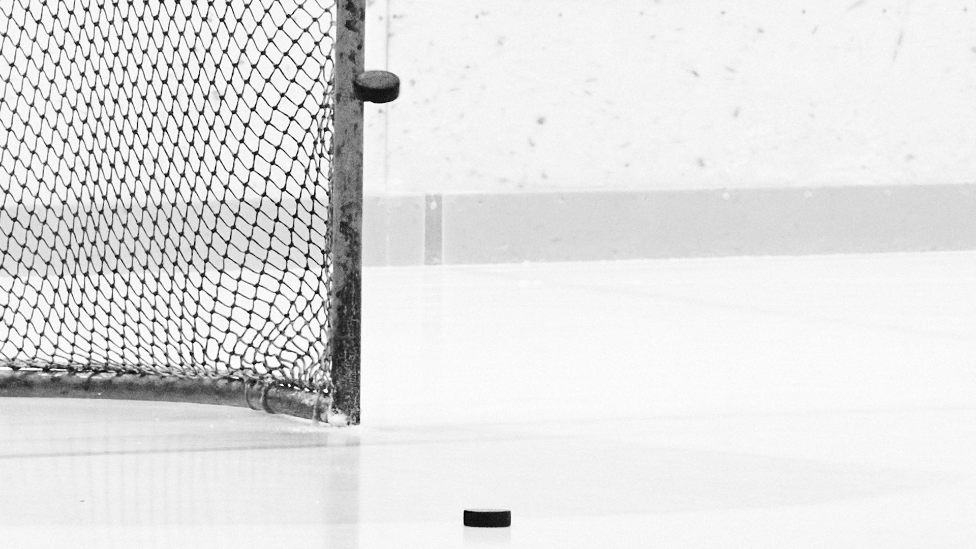 Cold Silence - Showcase FMK UTB : Showcase FMK UTB